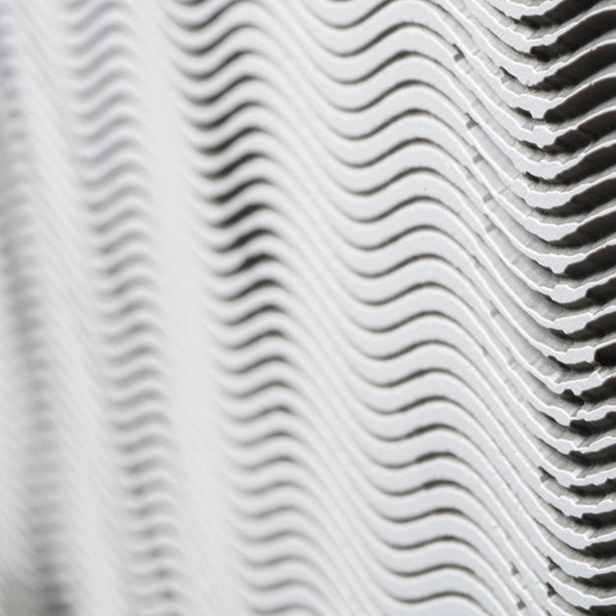 Albert Einstein 2mm Line – Zurich Art