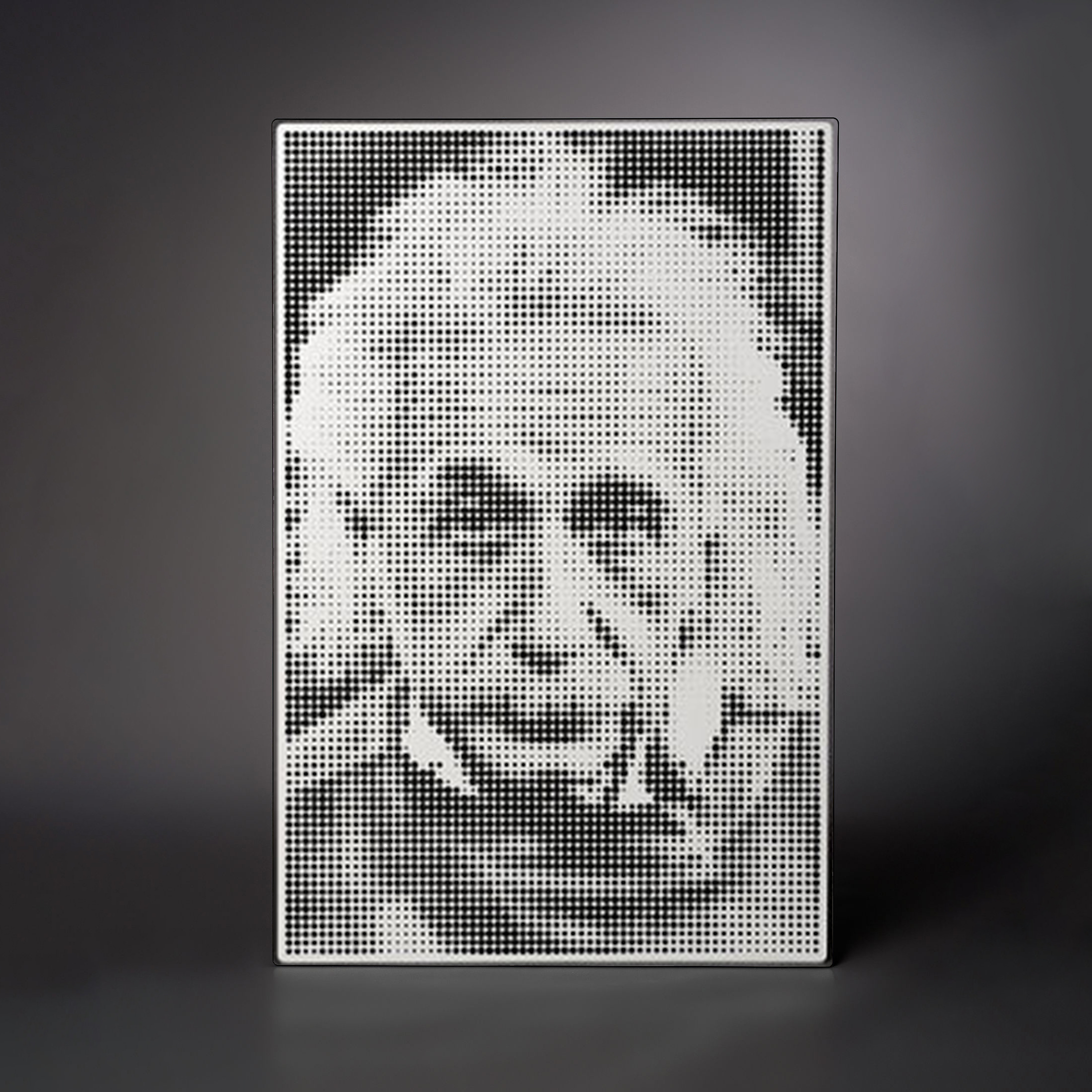 Albert Einstein 2mm grid – Zurich Art
